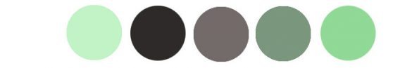 Colour Book: Liquorice Mint — Skinny laMinx