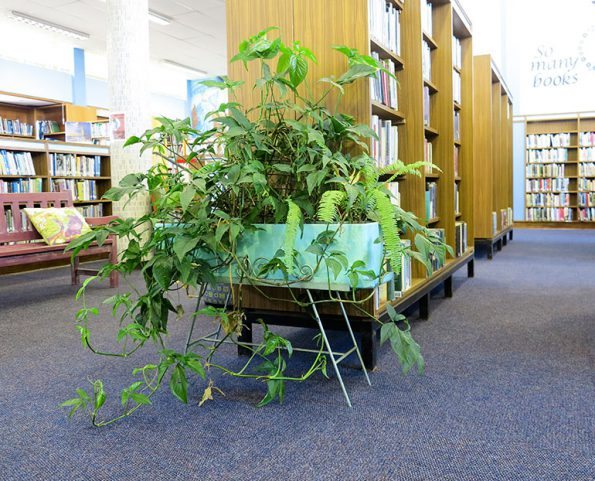 Out and About: Sea Point Library — Skinny laMinx